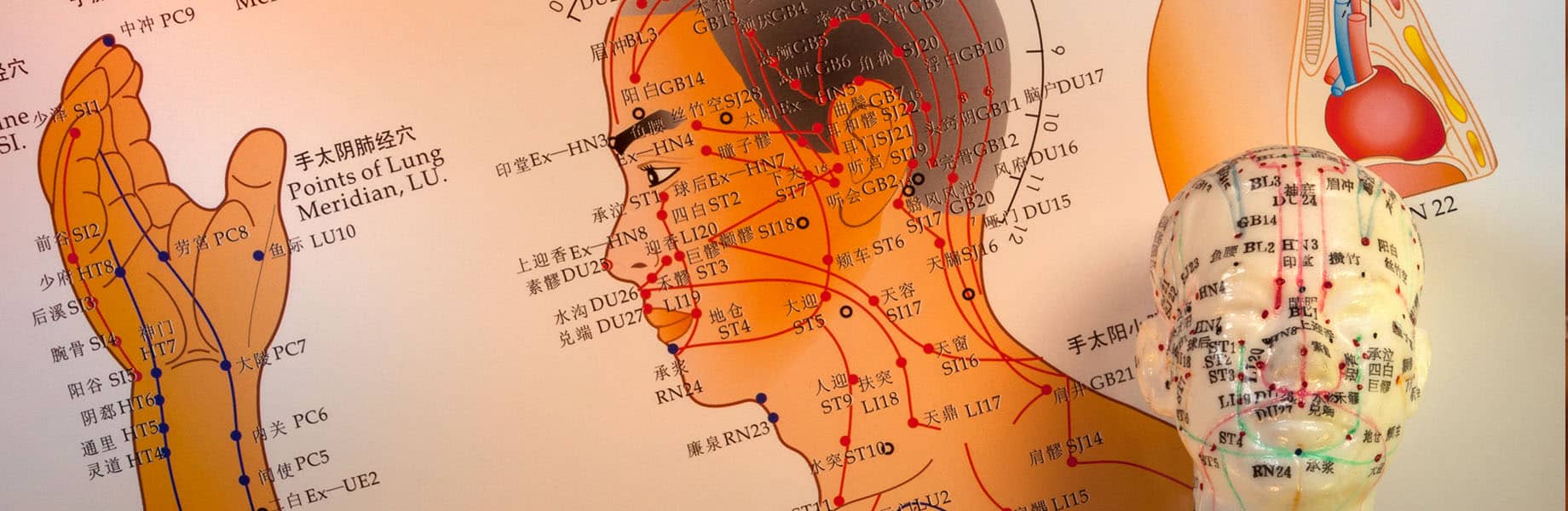 Five Element Acupuncture - Jade Mountain Wellness